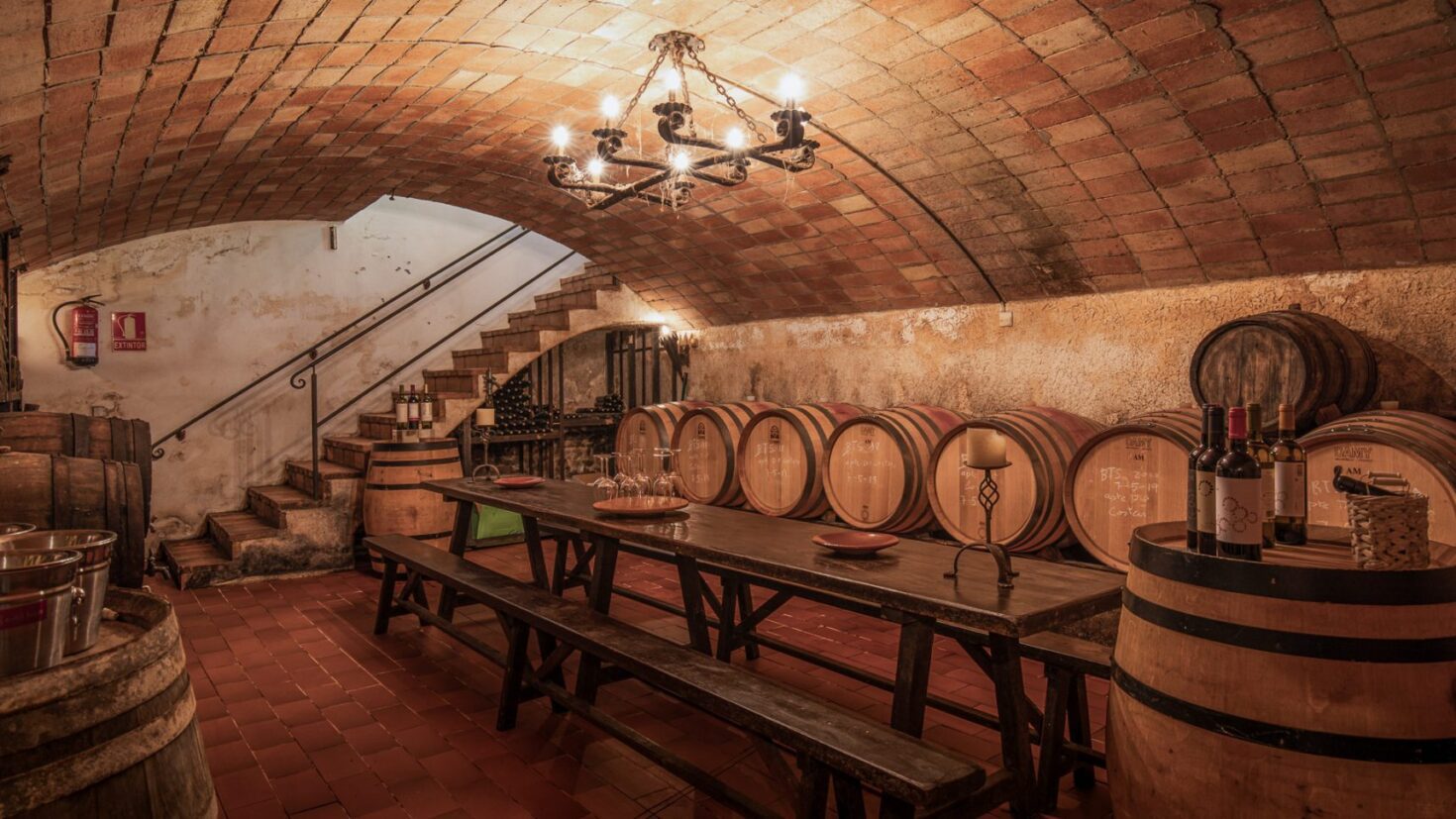 Cellar tour with tasting of three wines - Ruta del Vi de Lleida